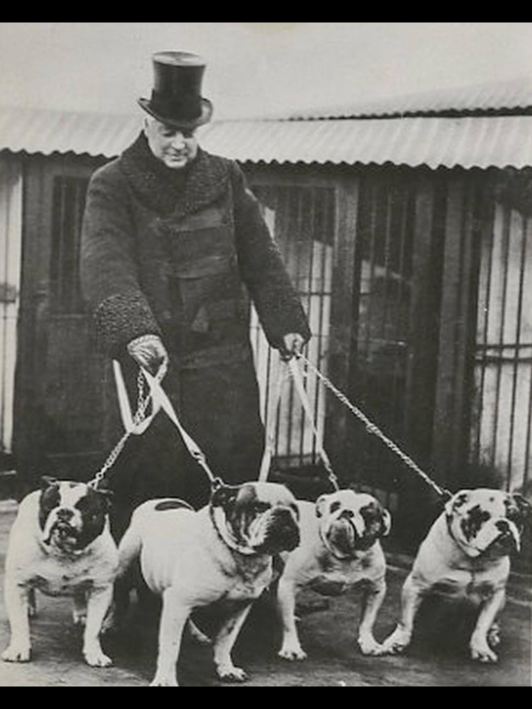 The Bulldog Spirit A Friendly Explanation | Collectibulldogs.com